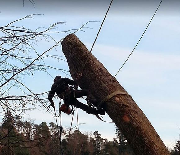 Rossi Espace Vert Etivey, Création et Aménagement de jardins, Entretien ...